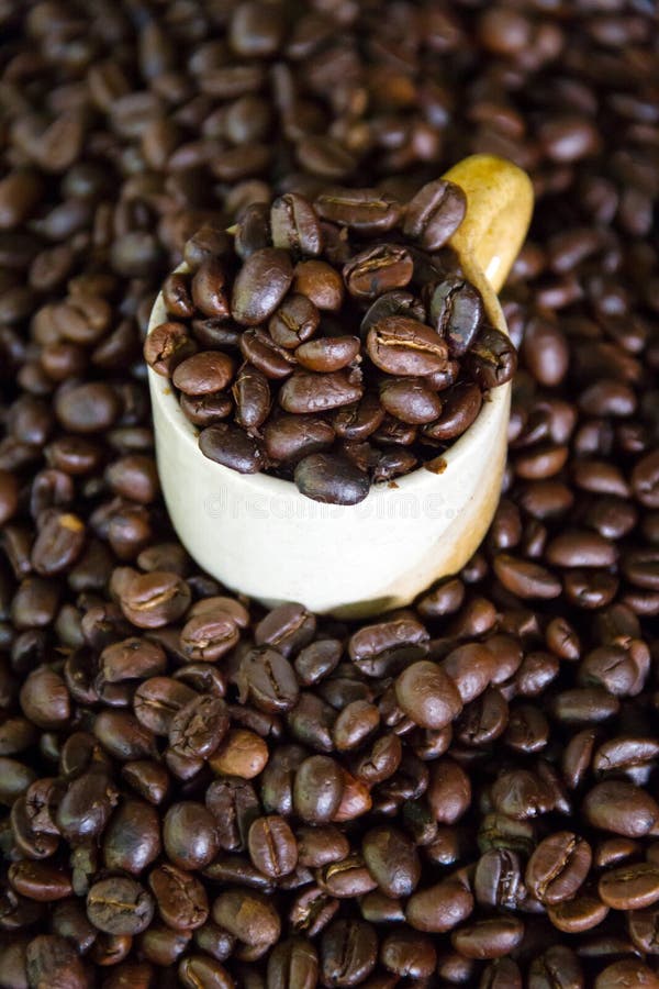 Roasted Coffee stock image. Image of brown, mocha, culture - 45942647
