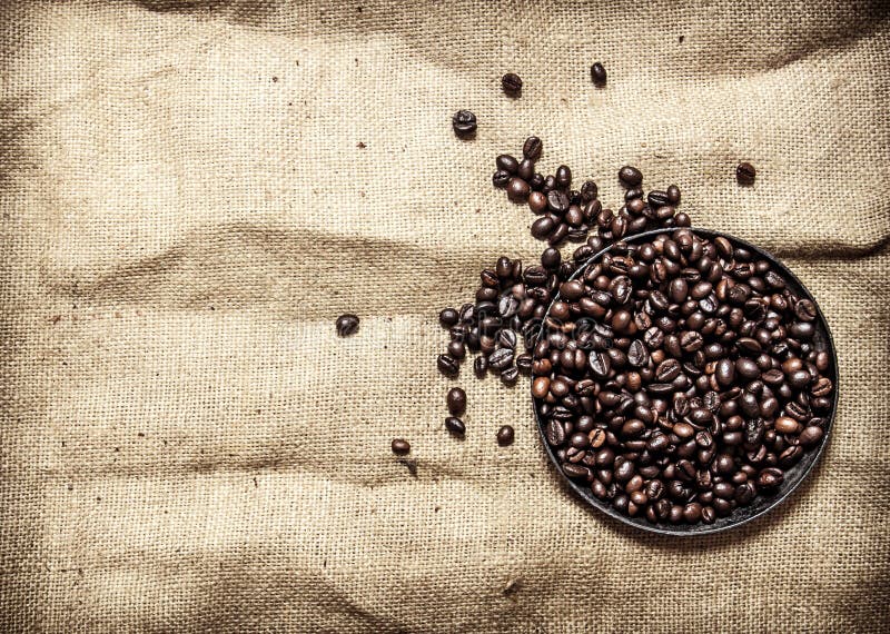 Roasted coffee in the pan. stock image. Image of brown - 67696623