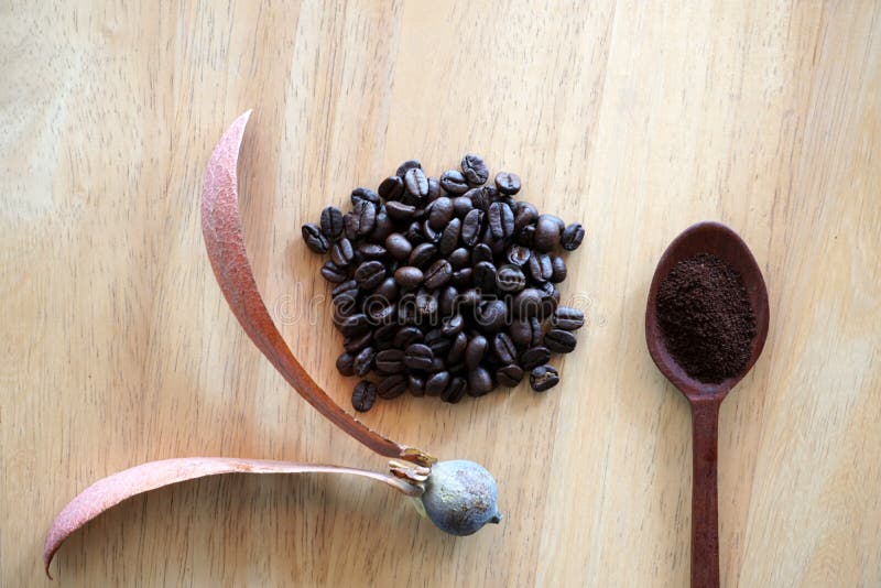 Roasted Coffee Seed for Background Stock Photo - Image of isolated ...