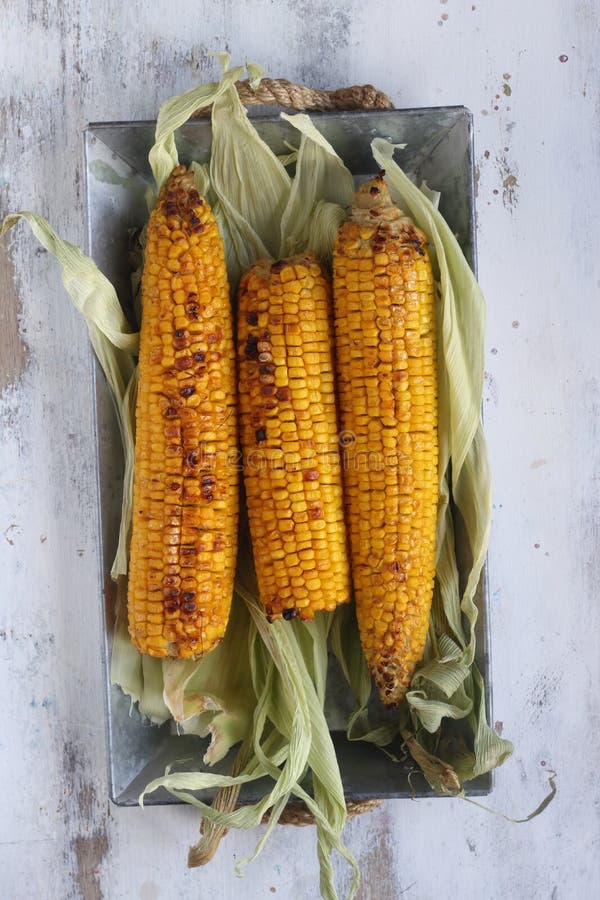 Roasted Corns with Cobs , Delicious Cooked Corns Stock Image - Image of ...