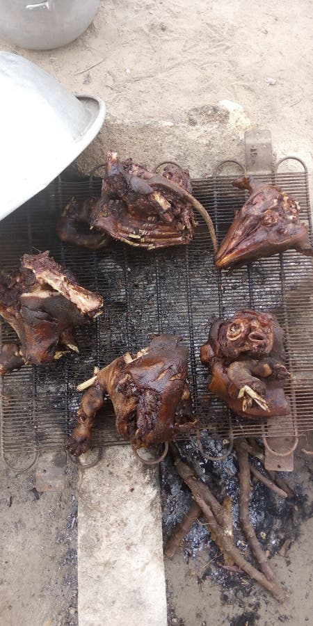 Roasted Dog Meat Smoked Outdoor Stock Image - Image of outdoor, roasted ...
