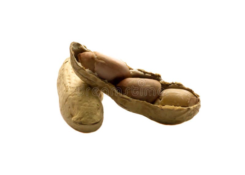 Roasted Dried Peanuts Strange Shape White Background Stock Photos ...