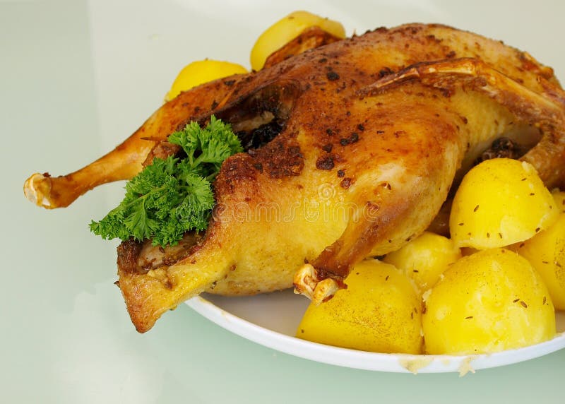 Roasted duck stock image. Image of duck, cooked, dining - 22230721