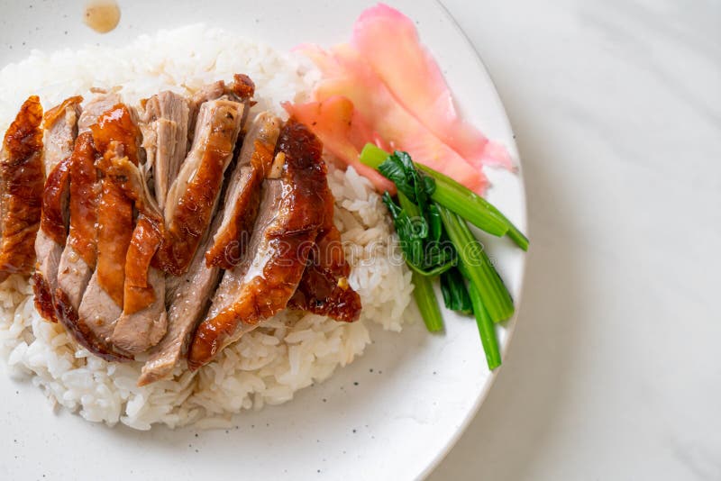 Roasted duck on rice stock photo. Image of sauce, peking - 192683858