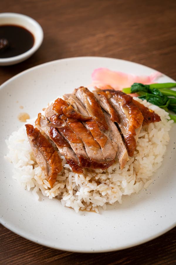 Roasted duck on rice stock image. Image of sauce, cuisine - 205396813