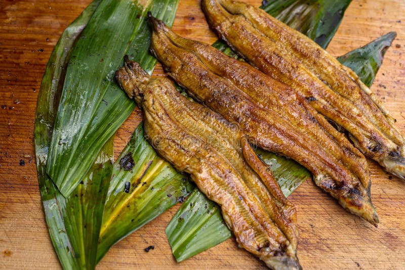 Roasted Eel stock photo. Image of closeup, food, japan - 61943032