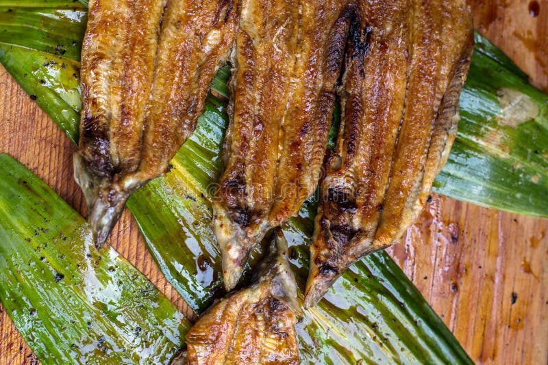 Roasted Eel stock photo. Image of closeup, food, japan - 61943032