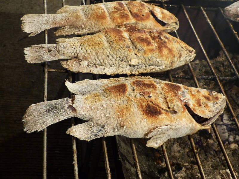 Roasted fish stock image. Image of restaurant, lunch - 23822705