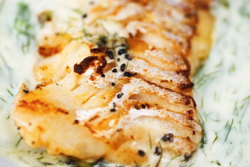Roasted cod in dill sauce. stock image. Image of delight - 108629759