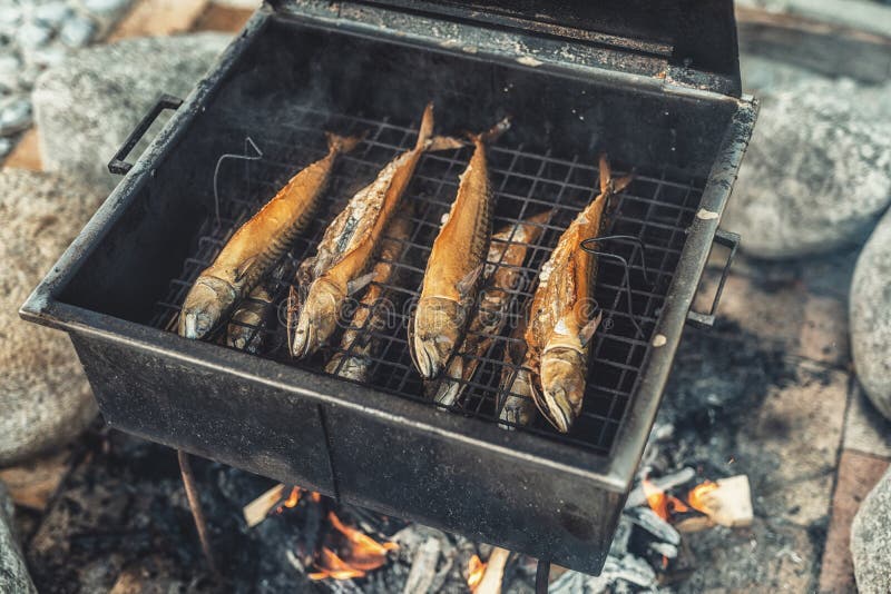 Roasted fish, on a picnic. stock image. Image of fresh - 204198657