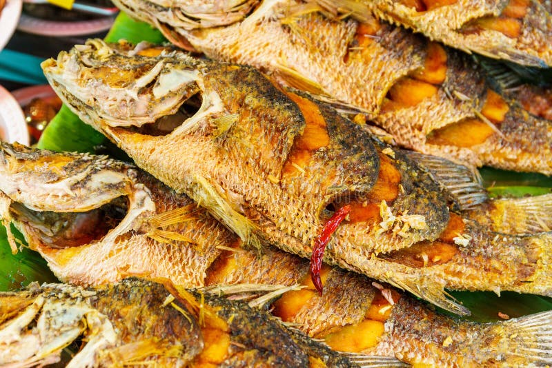 Roasted fish for sell stock photo. Image of fish, thai - 33839750