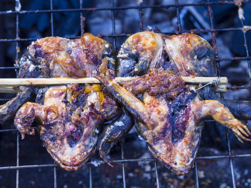 Roasted frog stock photo. Image of outdoor, roasted, cute - 93453878
