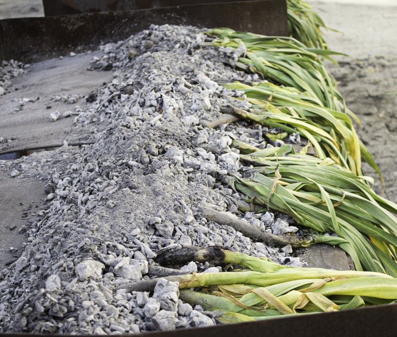 Roasted garlic grill stock image. Image of organic, delicious - 79162295