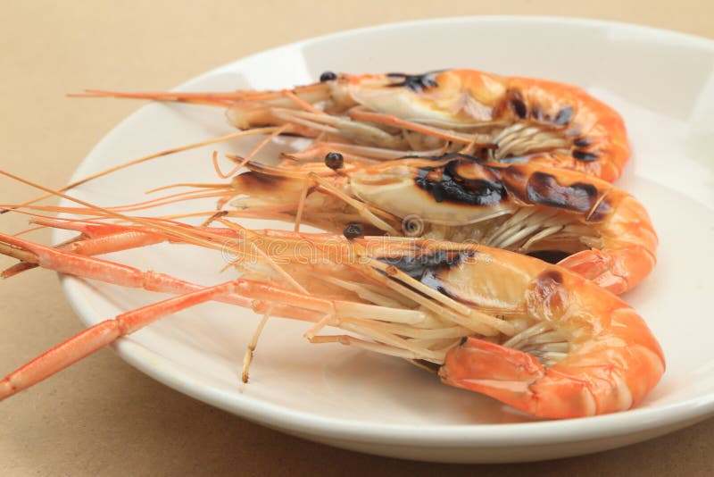 Roasted Grilled Prawn Prepared on White Plate Stock Photo - Image of ...