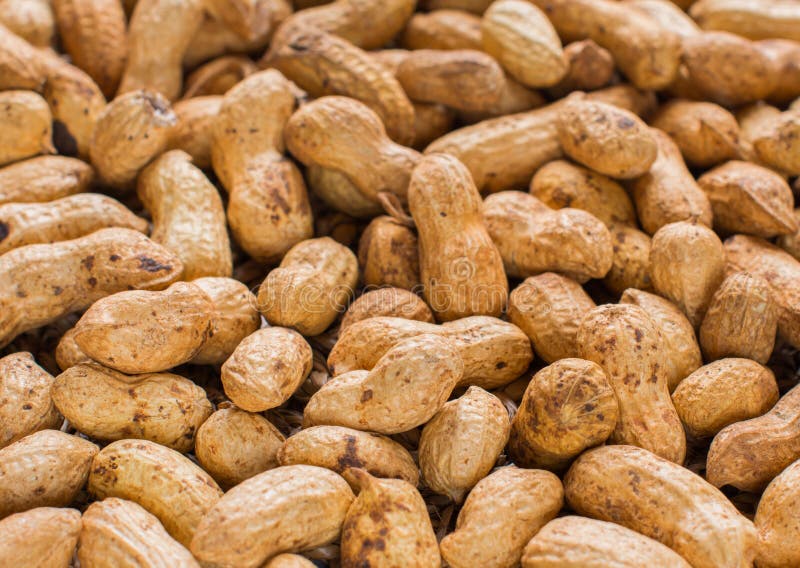 Roasted Groundnut in Shell. Background Stock Photo - Image of nature ...