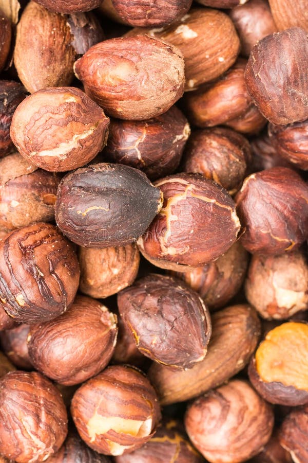 Roasted Hazelnuts stock photo. Image of natural, healthy - 35662836