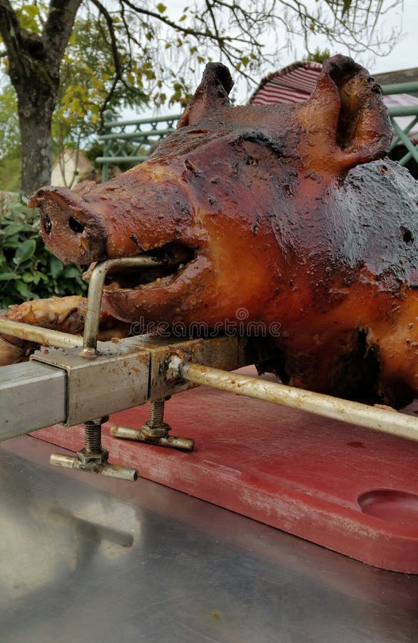 Roasted pig head stock photo. Image of grilled, hogling - 8410980