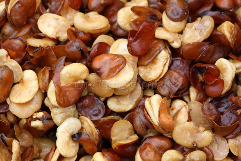 Roasted Horsebeans, Thai Street Stock Image - Image of legumes ...