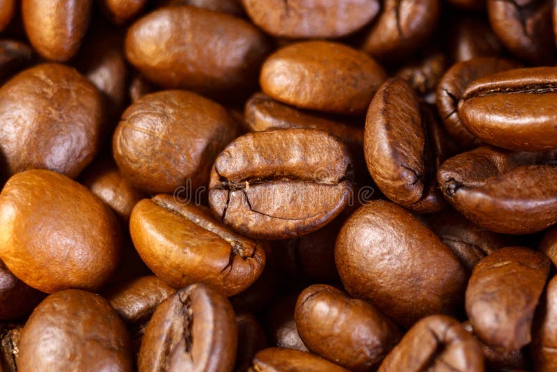 Roasted Hot Coffee Beans Falling on Pile of Coffee Beans. Front View ...