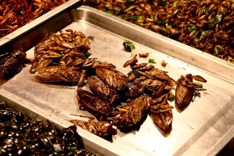 Roasted Insects Served at Bangkok Market Stock Photo - Image of dinner ...
