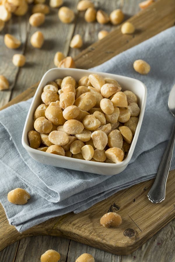 Roasted Macadamia Nuts with Sea Salt Stock Image - Image of crunchy ...