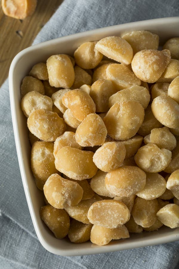 Roasted Macadamia Nuts with Sea Salt Stock Photo - Image of salted ...