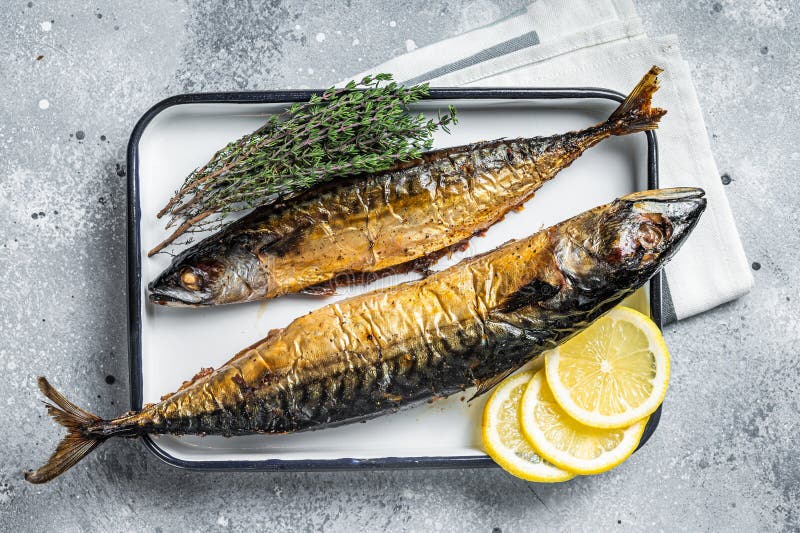 Roasted Mackerel Scomber Fish in Baking Dish. Gray Background Stock ...