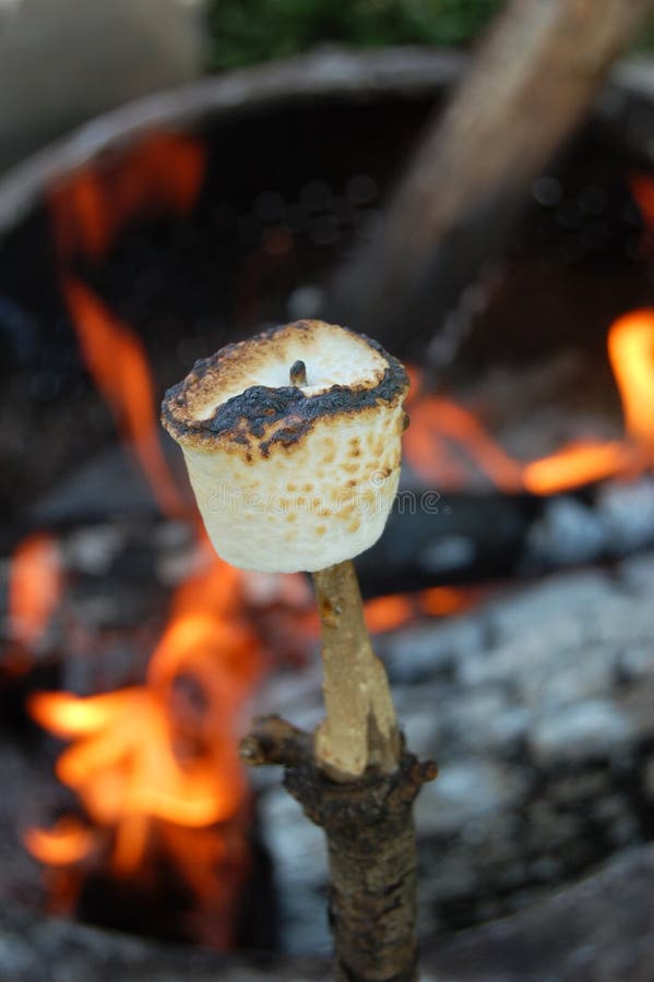 Roasted Mashmallow on a Camp Fire Stock Photo - Image of roasted, snack ...