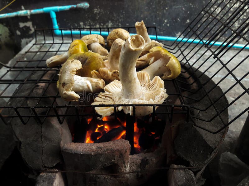 Roasted Mushroom on Charcoal Turtle. Cooking Clean Food . Stock Photo ...
