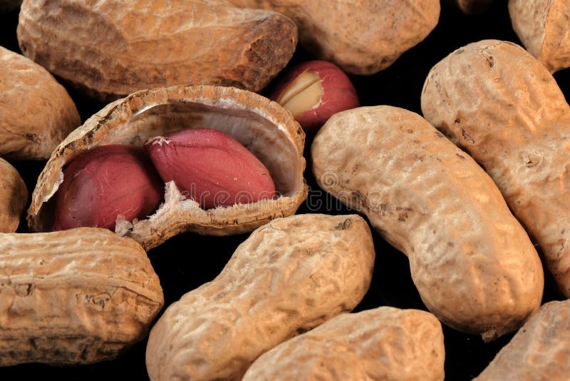 Roasted peanut boxes stock image. Image of healthy, kernel - 209196655