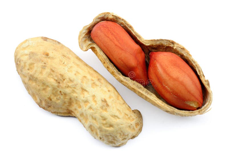 Roasted peanut shell stock image. Image of nutritive, allergenic - 3769387