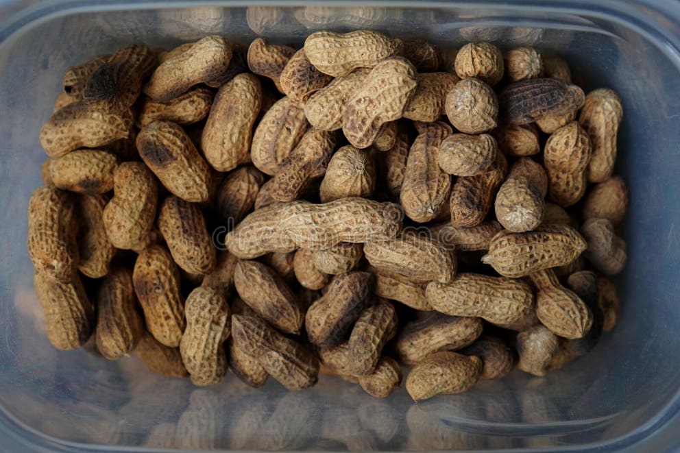 Roasted Peanuts with the Outer Shell. Deep Fried Peanuts. Stock Image ...