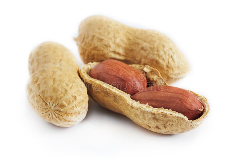 Roasted Peanuts Salted, in Shell I Stock Photo - Image of macro, dried ... Roasted Peanuts Salted, in Shell I Stock Photo - Image of macro, dried ...