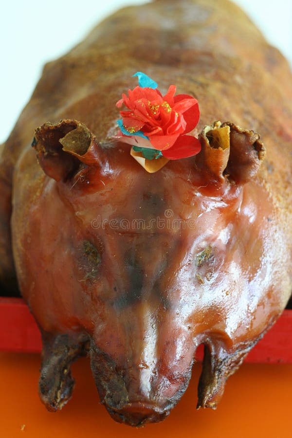 Roasted Pig stock photo. Image of married, cooked, bridal - 1615566