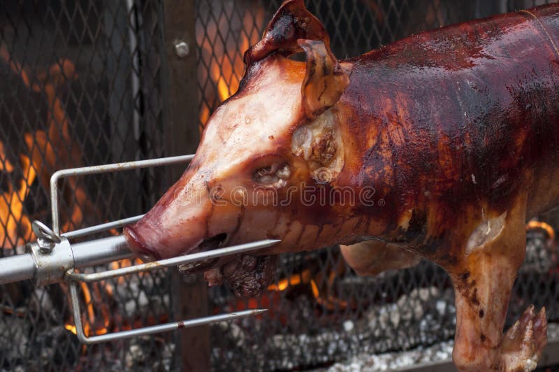 Roasted Pig at the Barbecue in Outdoor Stock Photo - Image of dish ...
