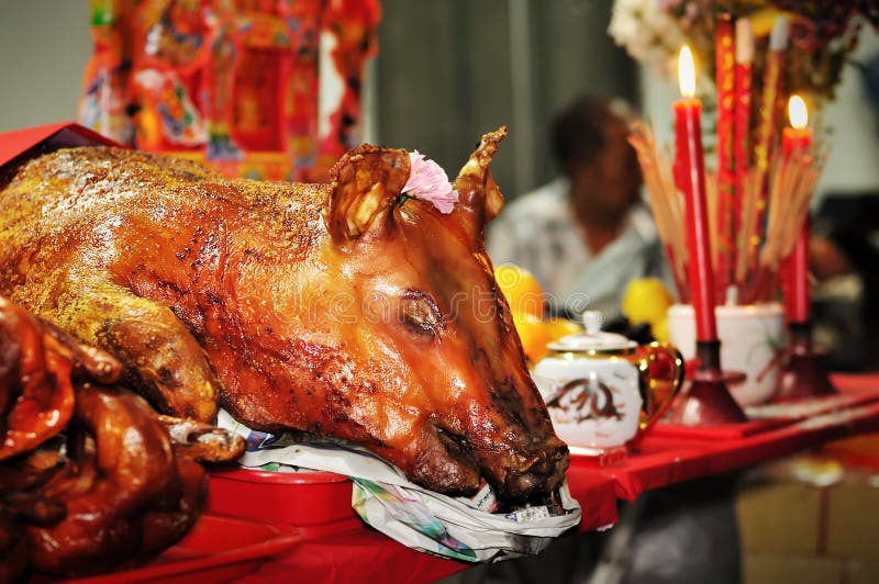 Roasted pig stock image. Image of glazed, feed, cooking - 36979859