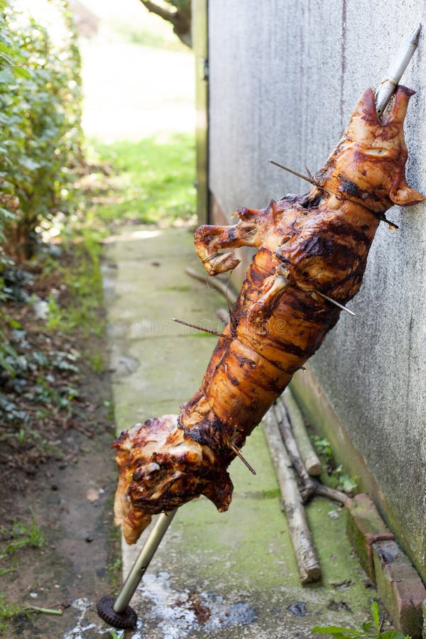 Roasted pig on the rack stock image. Image of roast - 110483439