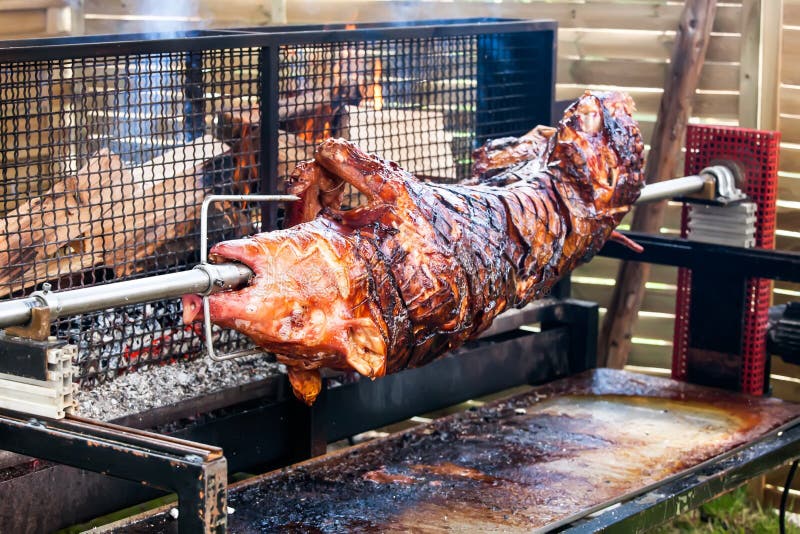 Roasted pig on the rack stock image. Image of cuisine - 35918525