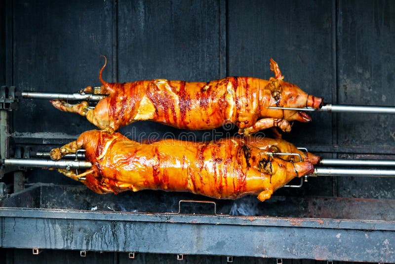 Roasted pigs stock photo. Image of piglet, tale, skewer - 15525222