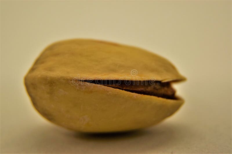 Roasted Pistachio Nut in a Partially Open Shell Stock Photo - Image of ...