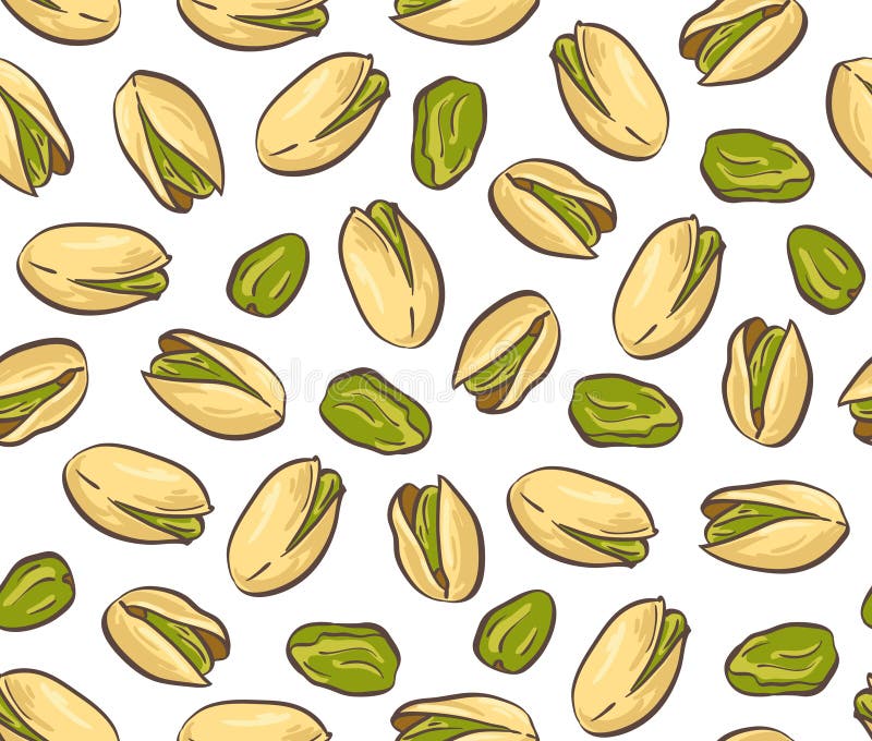 Roasted Pistachio Seed with Shell. Seamless Pattern Stock Vector ...