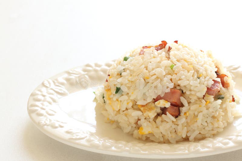 Roasted Pork and Egg Fried Rice Stock Image - Image of asian ...