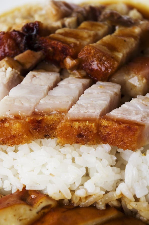 Roasted pork rice stock photo. Image of singapore, dishes - 20091738