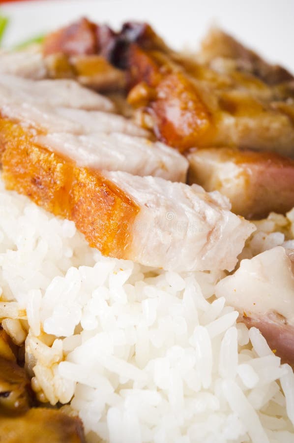 Roasted pork rice stock photo. Image of pork, gourmet - 20091766