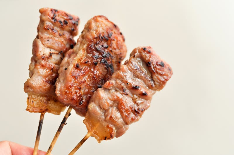 Roasted Pork stock image. Image of skewer, cuisine, bamboo - 119902475