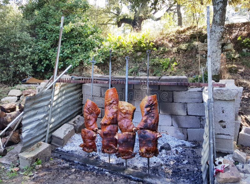 Roasted Pork Traditional Way of Cooking - Outdoor Stock Photo - Image ...