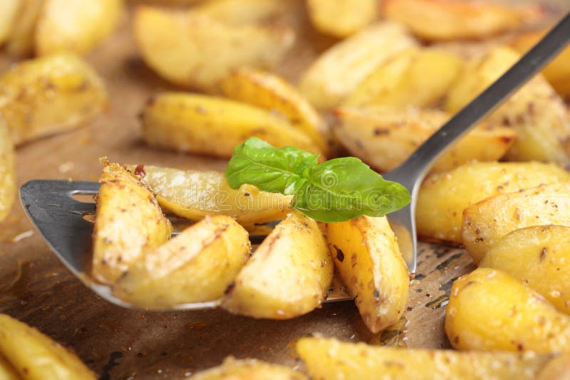 Roasted potato and basil stock photo. Image of sheet - 53356826