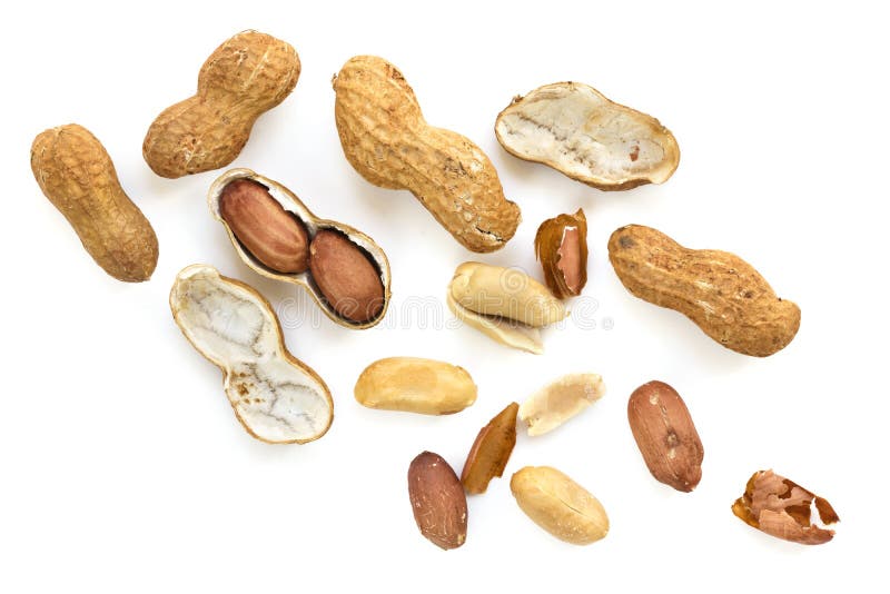 Two peanuts in a shell stock photo. Image of peanuts, objects - 174054