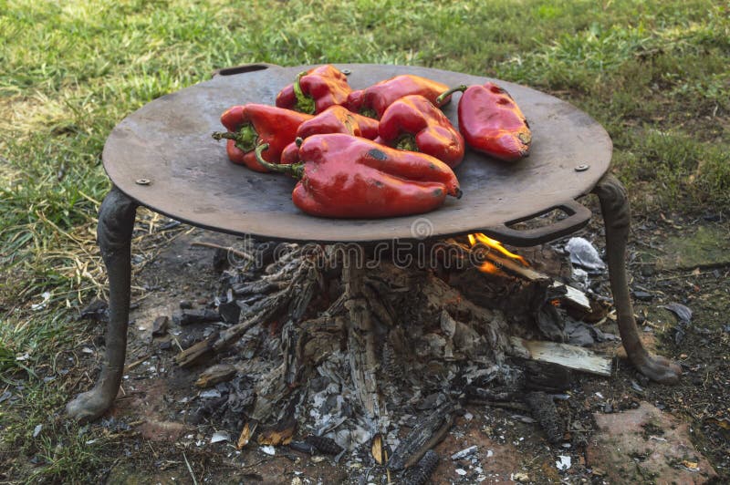 Red Peppers on the Barbecue Stock Image - Image of vegetarian, roast ...