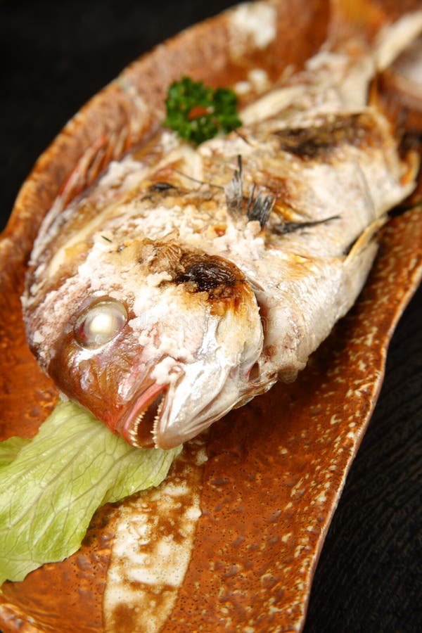 Roasted Red sea bream stock image. Image of cuisine, fish - 62236379